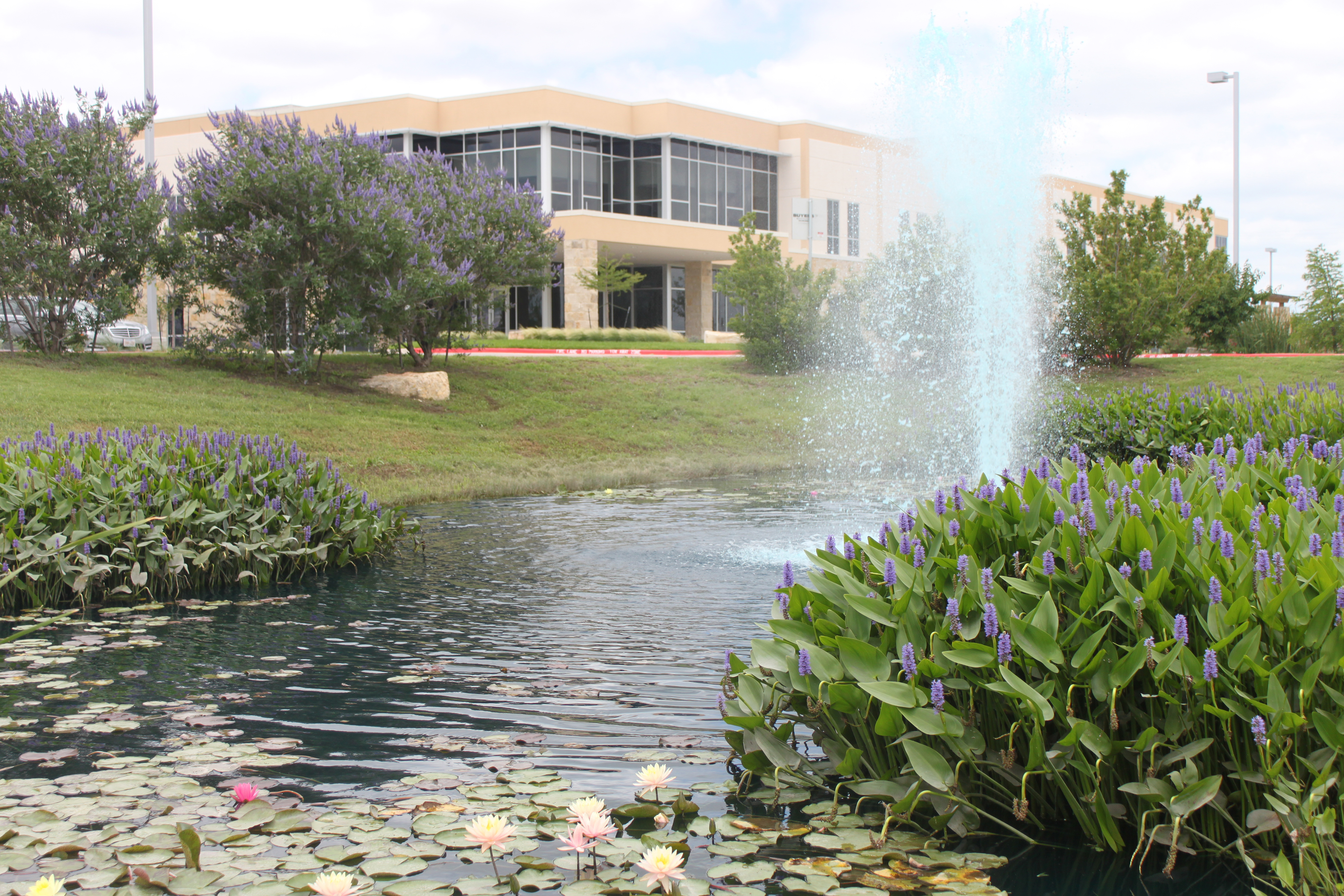 Signature Healthcare Services | Georgetown Behavioral Health Institute