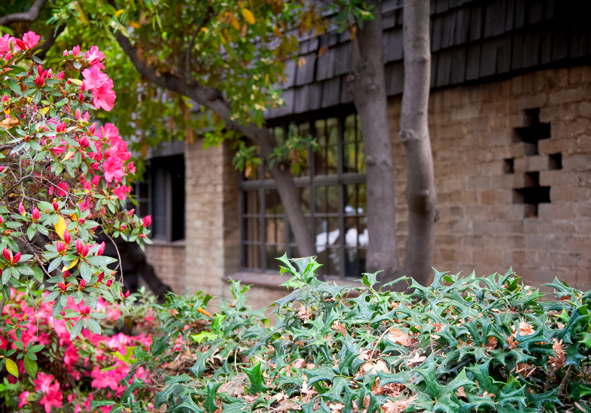 Signature Healthcare Services | Las Encinas Hospital